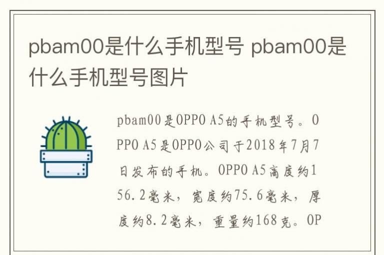 pbam00是什么手机型号 pbam00是什么手机型号图片_点哪网